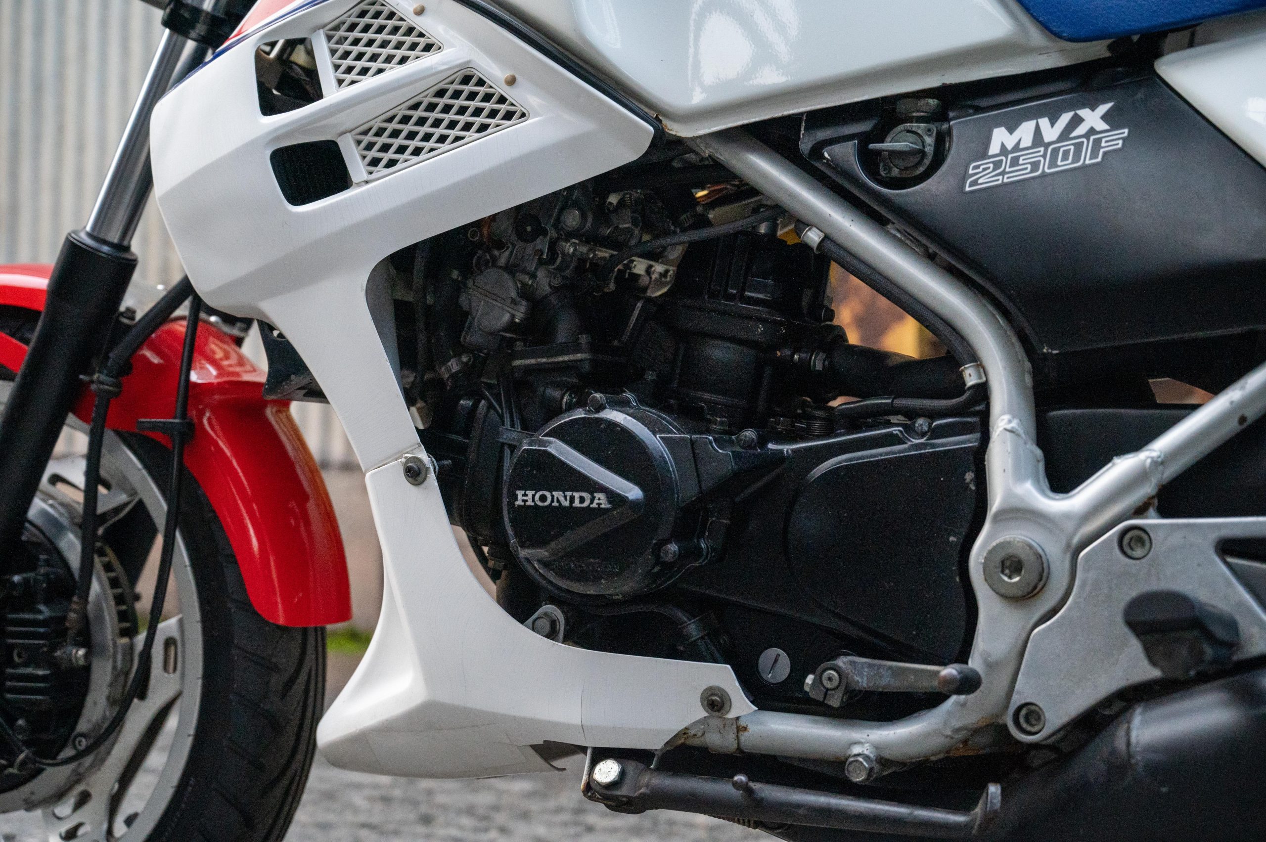 1983 Honda MVX250F | AdamsGarage - SODO-MOTO