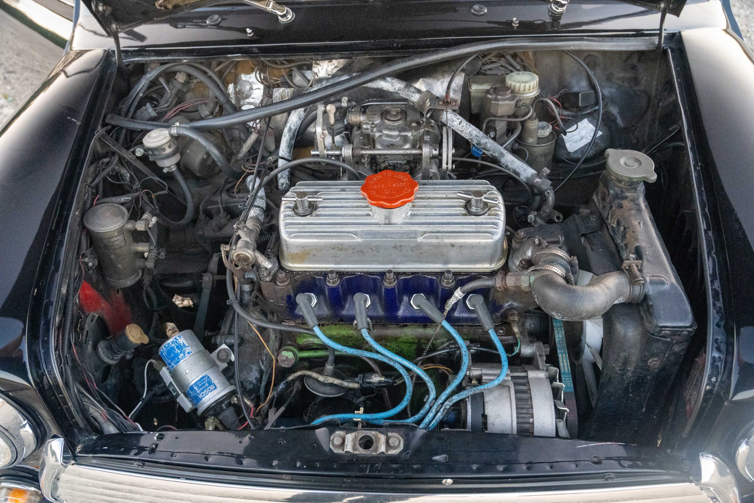 1981 Mini - 1000 | AdamsGarage - SODO-MOTO