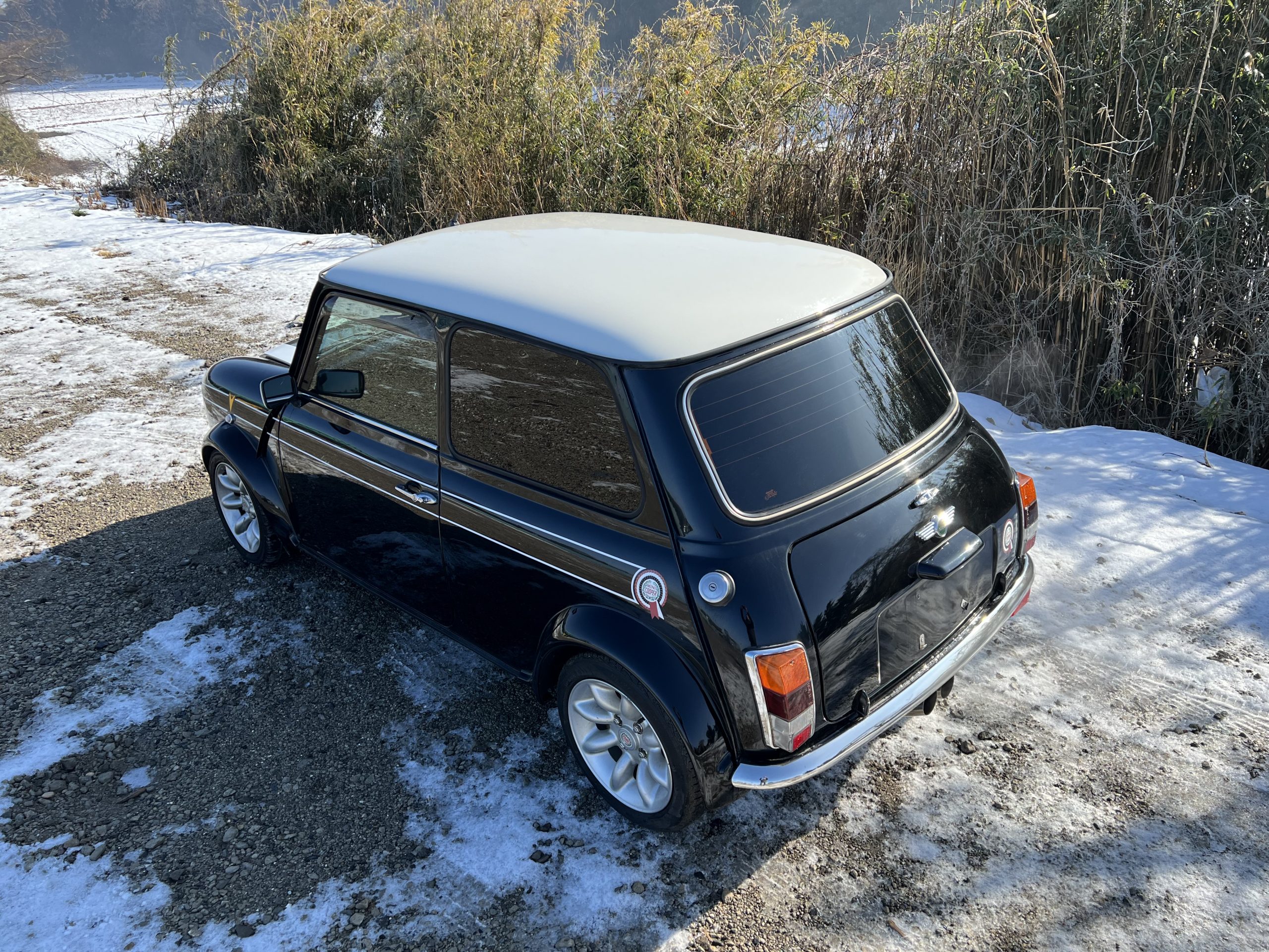 1998 Rover Mini Cooper BSCC / Sports LE | AdamsGarage - SODO-MOTO