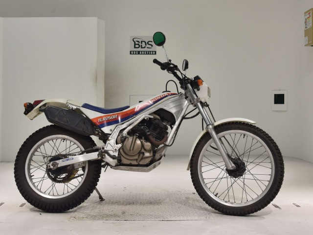 1985 Honda TLR250R | AdamsGarage - SODO-MOTO